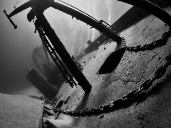 Choosing a Backplate and Wing for Recreational Diving