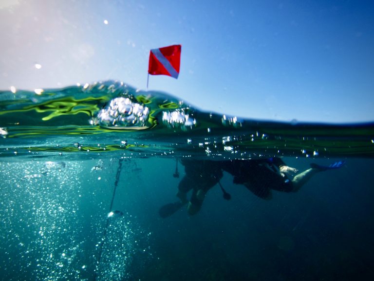 Choosing a Backplate and Wing for Recreational Diving