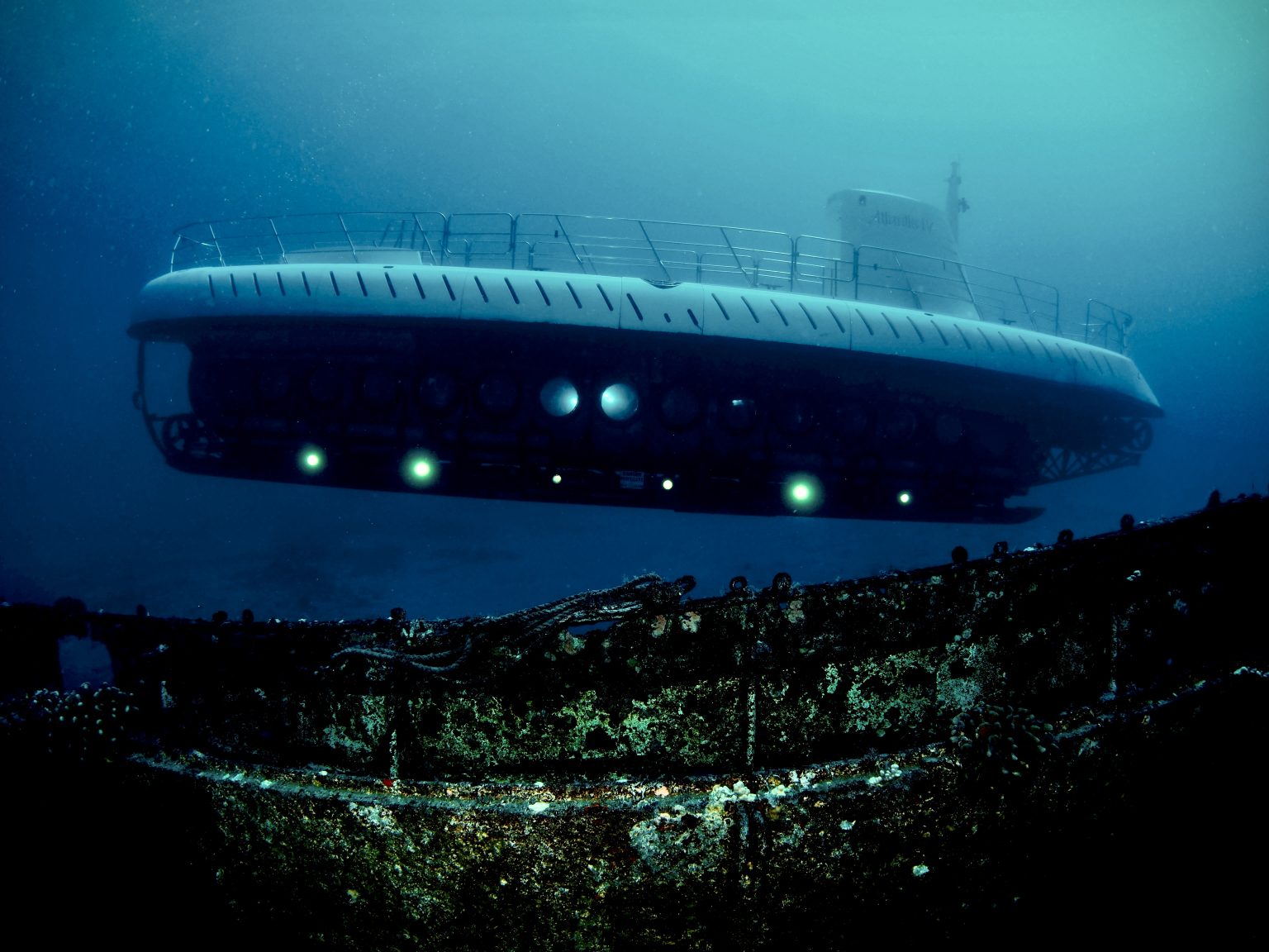 Choosing a Backplate and Wing for Recreational Diving