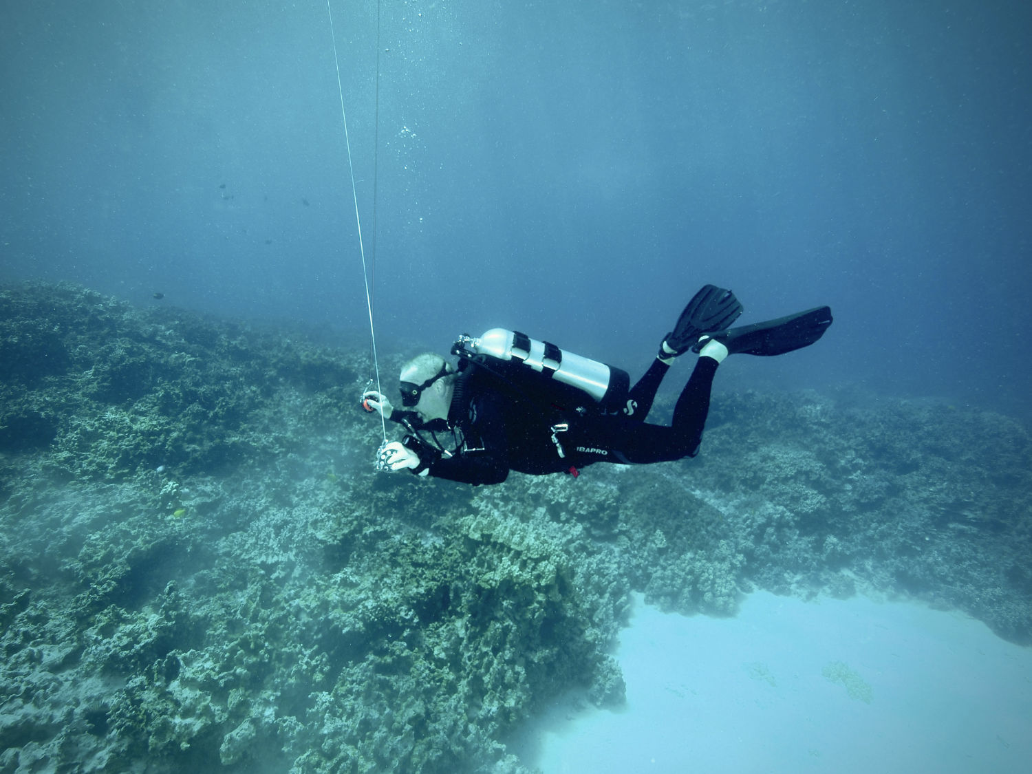 The Best Wing-Style BCD: TransPac or Backplate? – JoeScuba LLC
