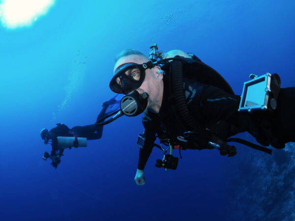 Choosing a Backplate and Wing for Recreational Diving